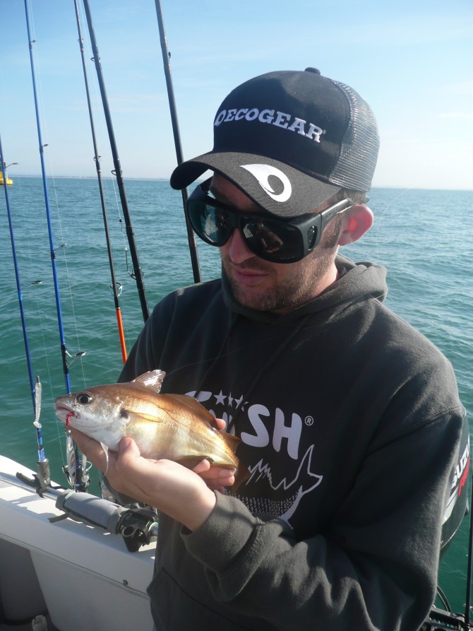 Jigging for Pouting - Light Rock Fishing | LRF