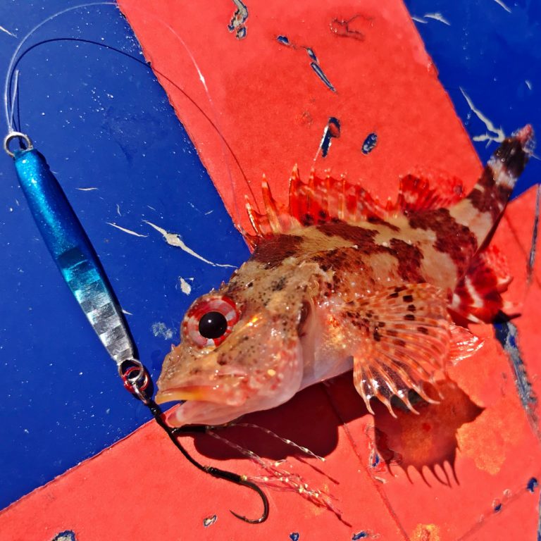 Light Rock Fishing in Zante