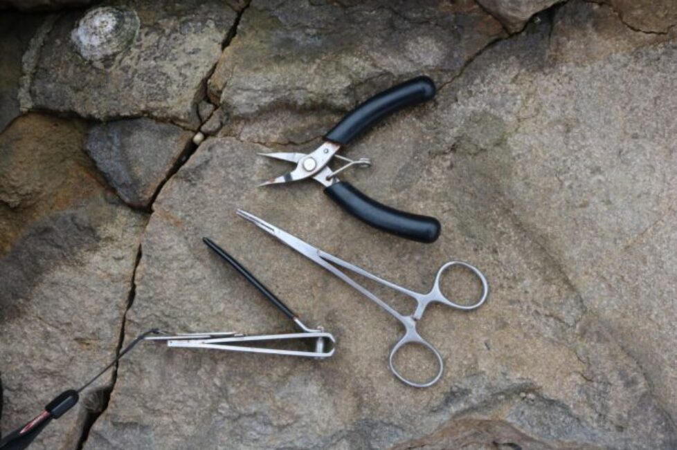 Light Rock Fishing | LRF Blog UK | Page 11 of 86