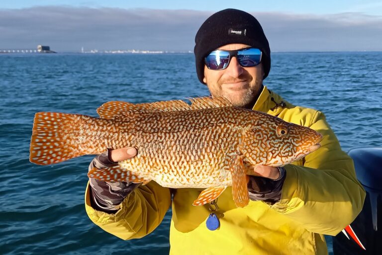 Light Rock Fishing | LRF - Tackle, Tips, Rigs & Fish