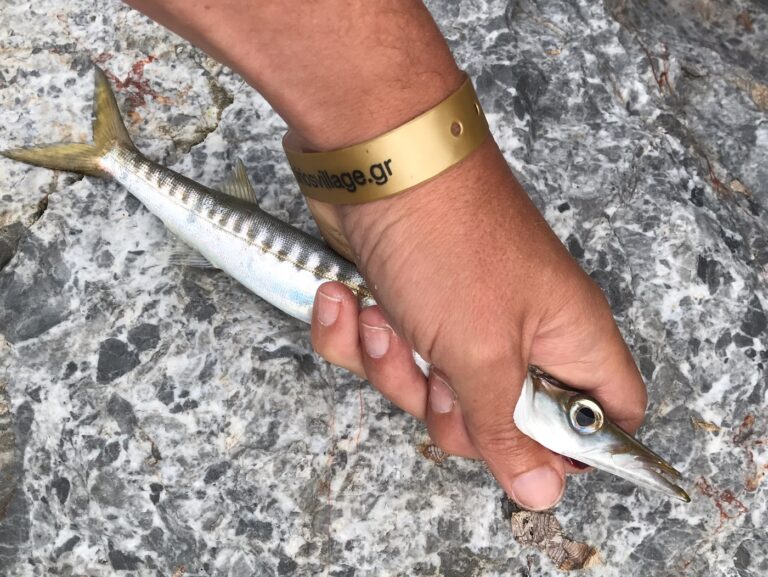 Light Rock Fishing | LRF – Join the Light Rock Fishing Revolution ...