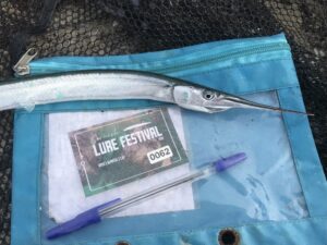 Light Rock Fishing | LRF – Join the Light Rock Fishing Revolution ...