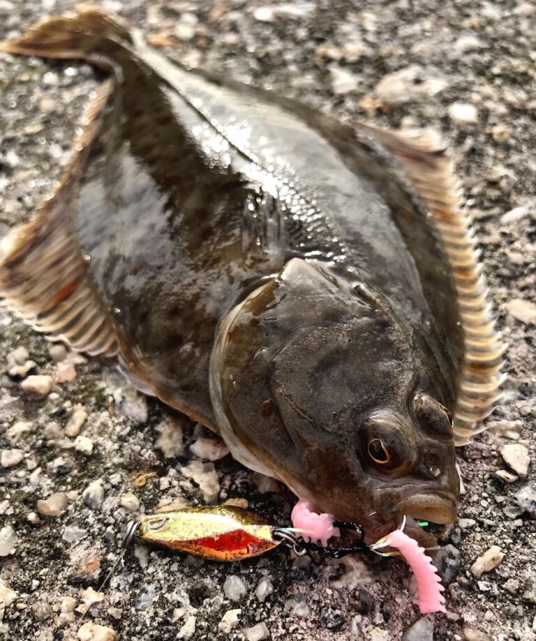 Light Rock Fishing | LRF – Join the Light Rock Fishing Revolution ...