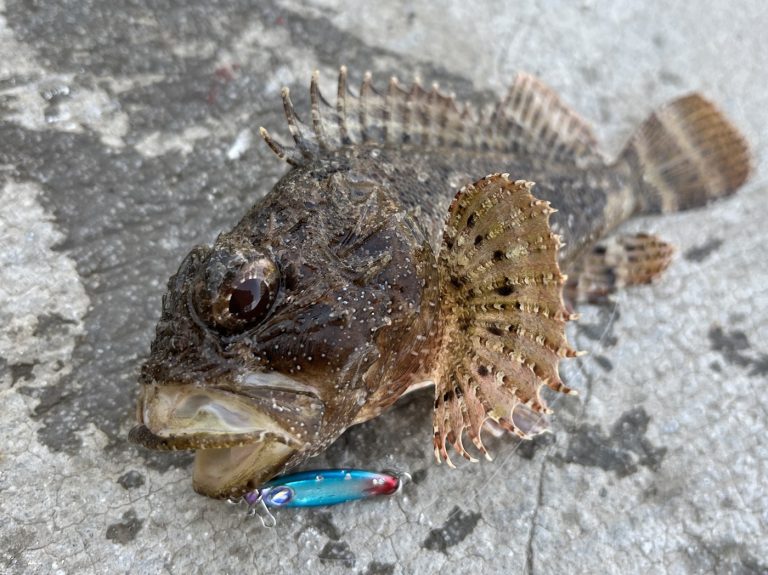 Light Rock Fishing | LRF - Join the Light Rock Fishing Revolution ...